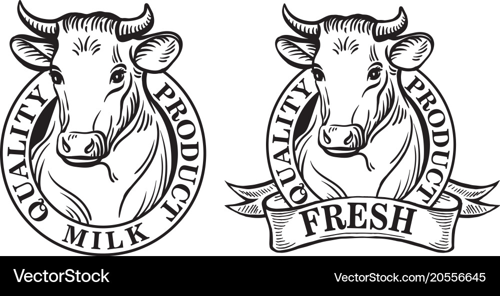 Set of an dairy cows label Royalty Free Vector Image