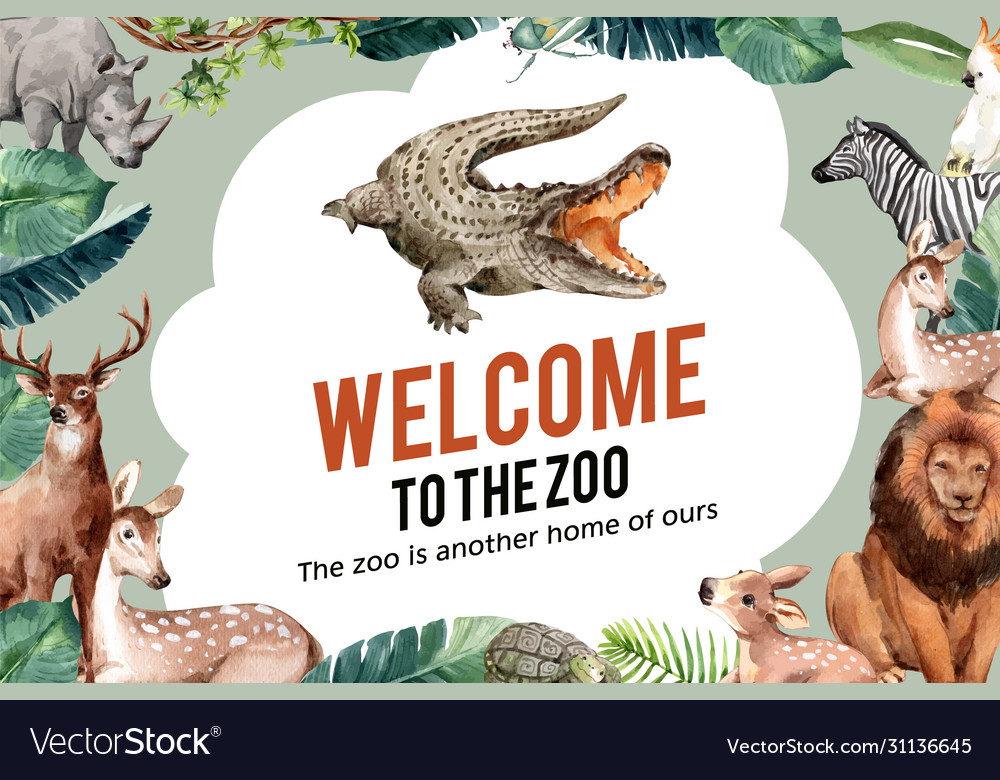 Zoo frame design with zebra lion bird crocodile Vector Image