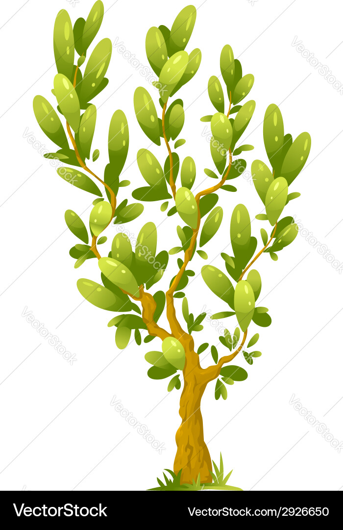 Cartoon Tree with Elliptical Leaves Royalty Free Vector