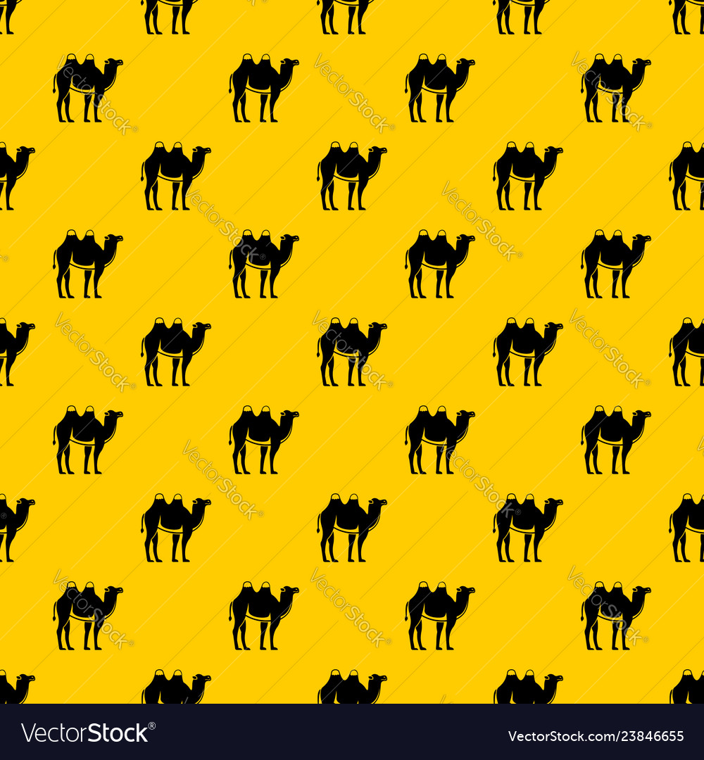 Camel pattern Royalty Free Vector Image - VectorStock