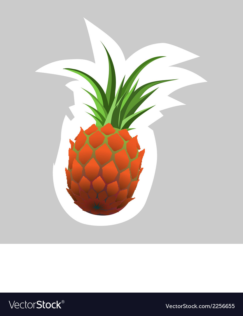 Pineapple Royalty Free Vector Image - VectorStock