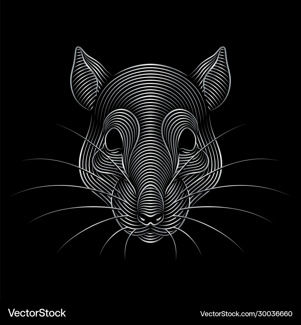 Engraving stylized silver rat portrait on black Vector Image