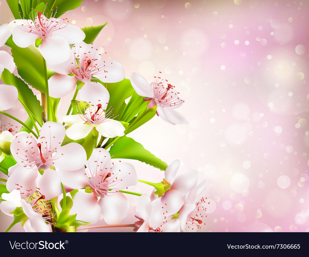 Spring border background eps 10 Royalty Free Vector Image