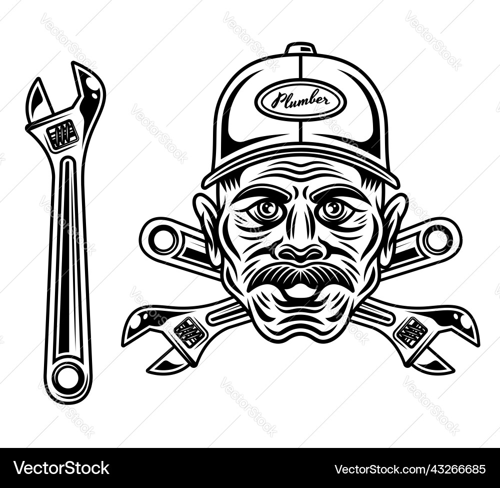 Plumber man head with mustache in cap hat Vector Image