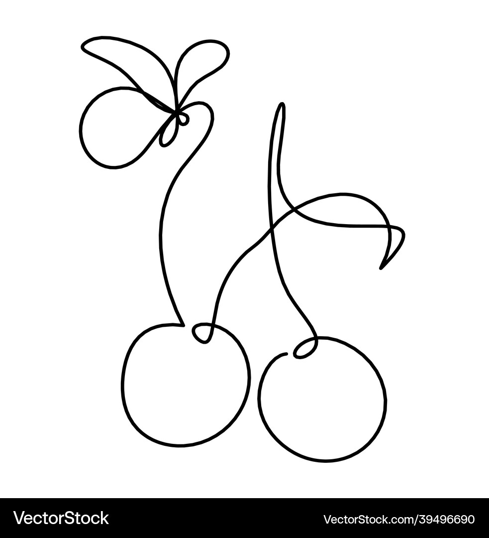 Drawing line cherry with butterfly on the white Vector Image