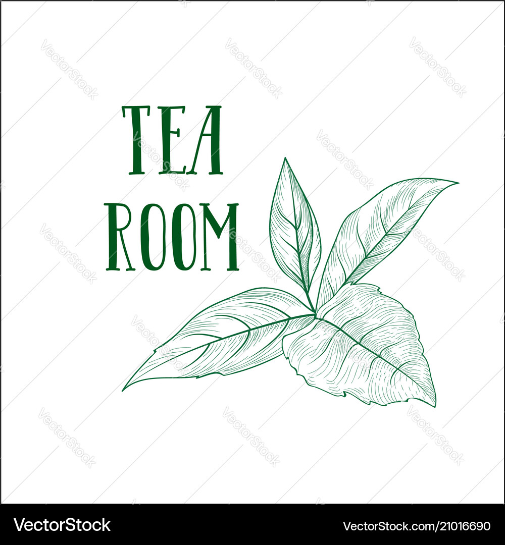 Green tea tree branch herb label lettering Vector Image