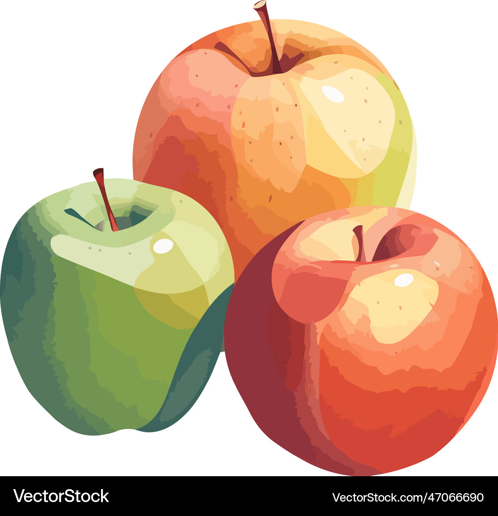Juicy organic apples on white background Vector Image