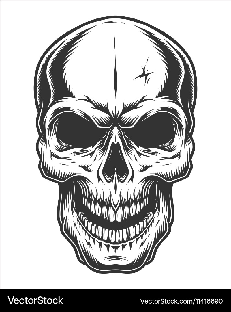 Monochrome of skull Royalty Free Vector Image - VectorStock
