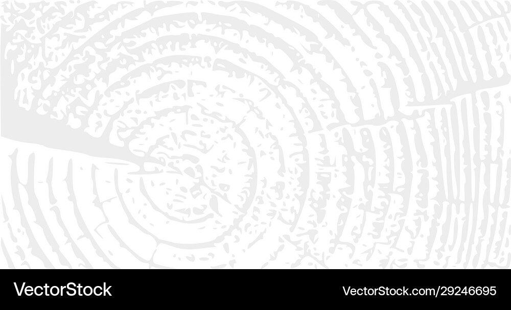 Annual tree growth rings logo cross-section Vector Image