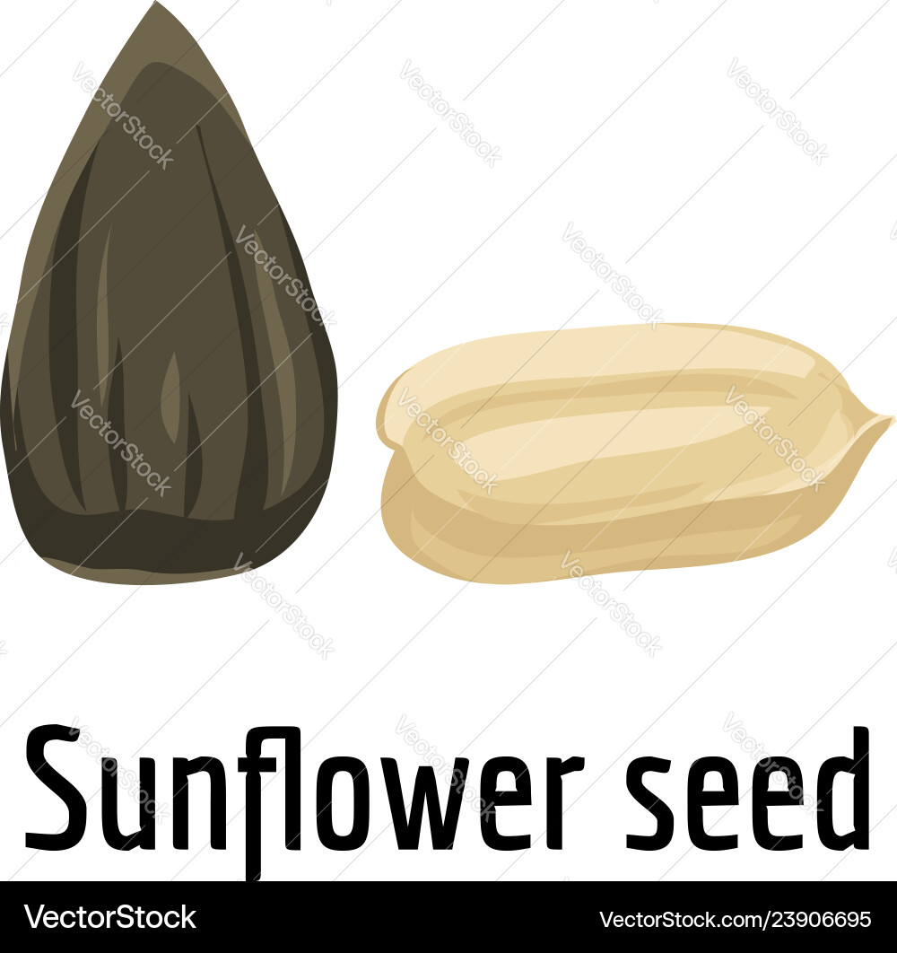 Sunflower seed icon cartoon style Royalty Free Vector Image