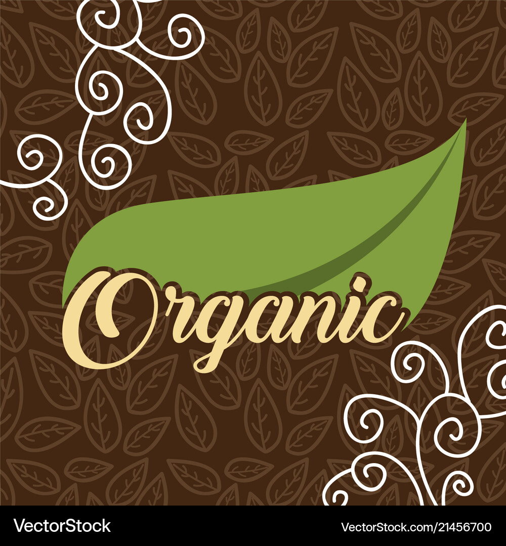 Food organic nature Royalty Free Vector Image - VectorStock