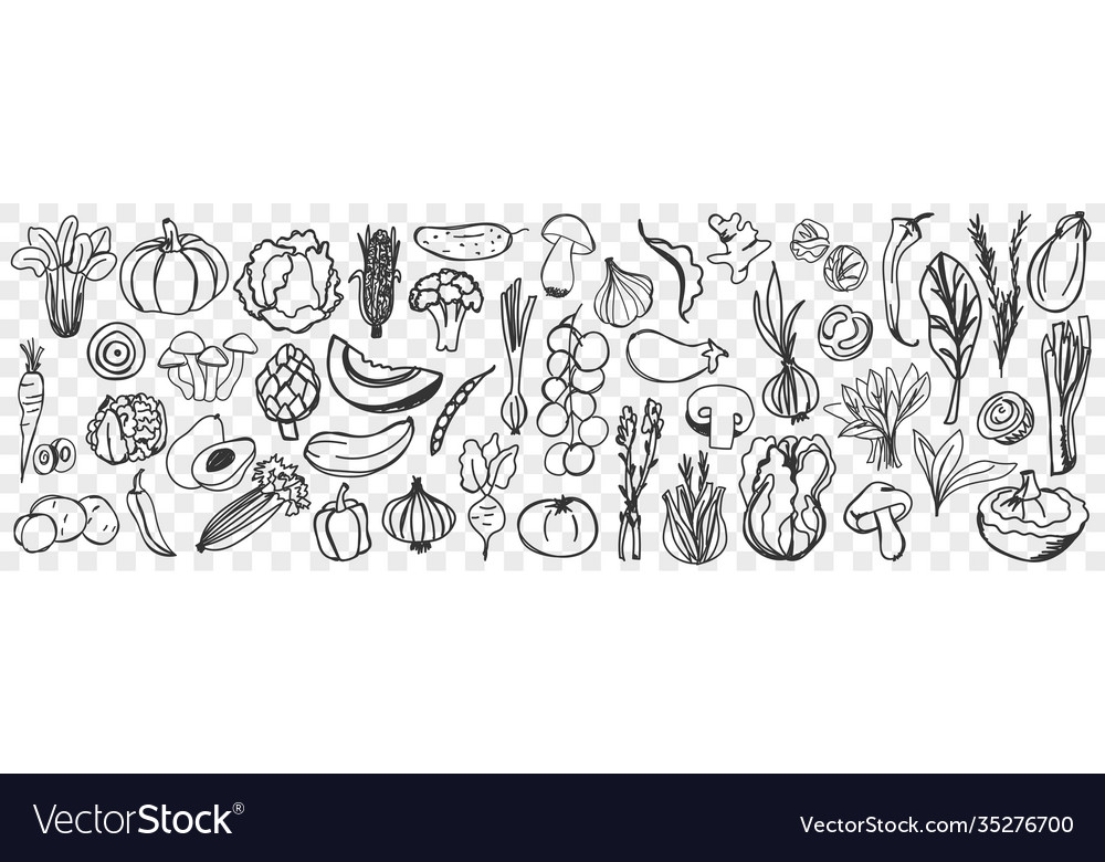 Fresh Vegetable Doodle Set Royalty Free Vector Image