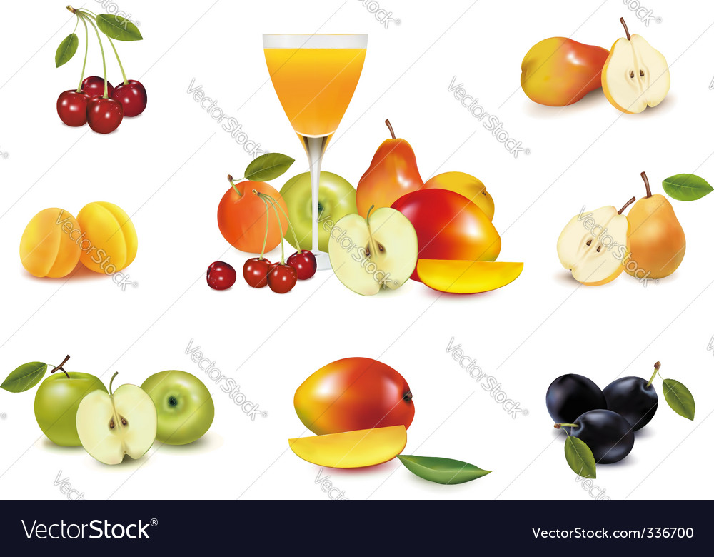 Fruit Royalty Free Vector Image - VectorStock