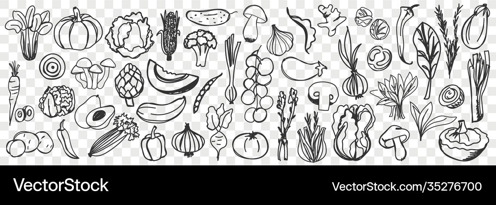 Vegetables hand drawn doodle set Royalty Free Vector Image