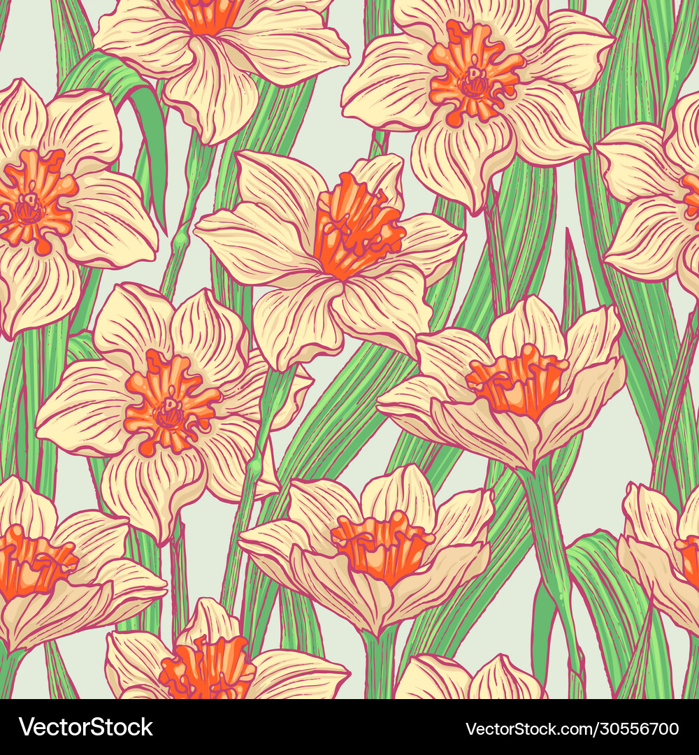Yellow Daffodils Royalty Free Vector Image Vectorstock