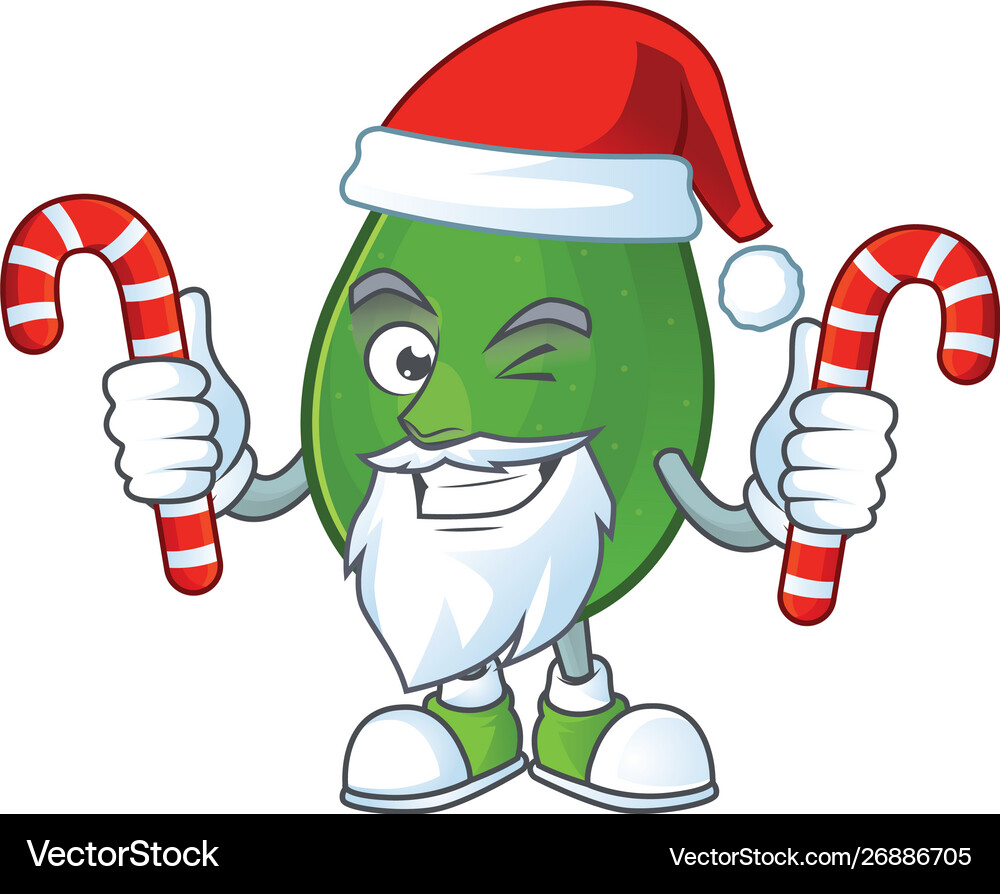 Santa with candy avocado fresh on white background