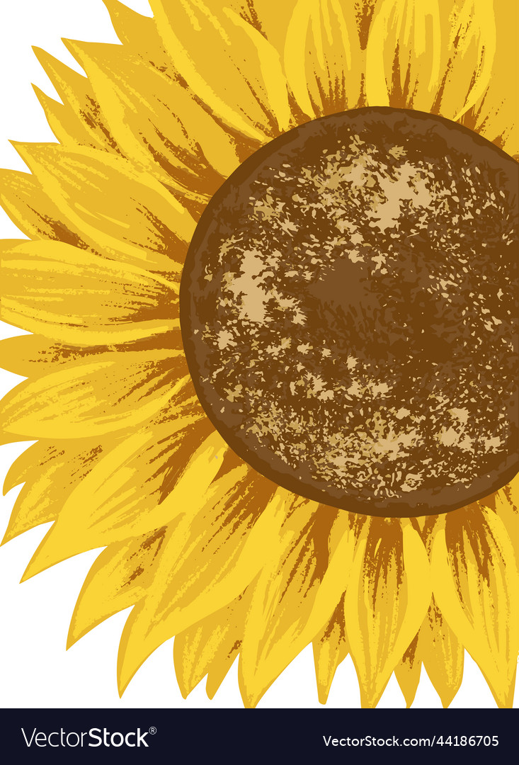 Sunflower Royalty Free Vector Image - VectorStock