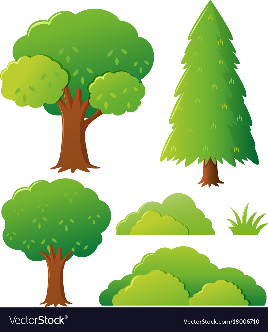 Different types tree Royalty Free Vector Image