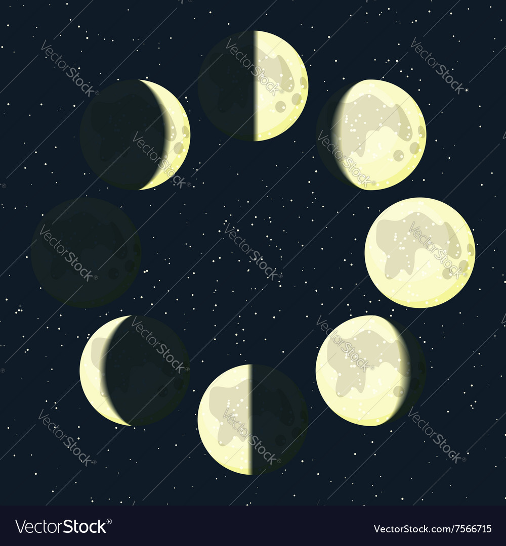 Moon Phases Royalty Free Vector Image - VectorStock Moon Phases Royalty Free Vector Image - VectorStock