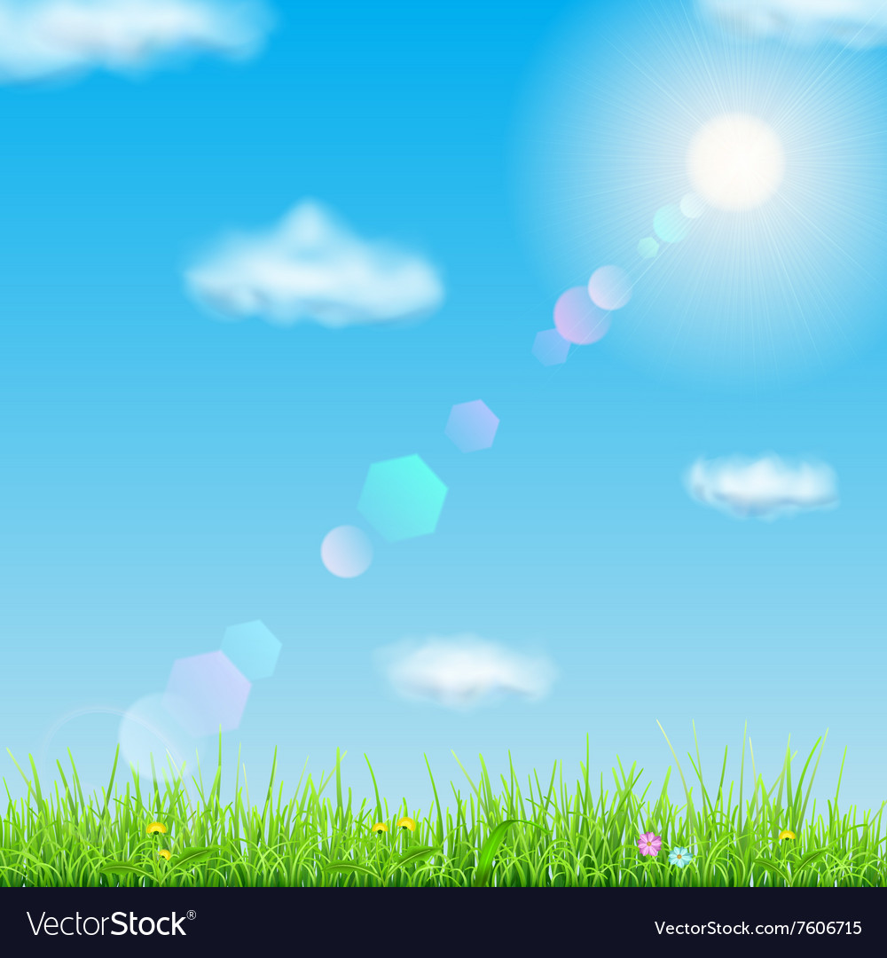 Spring background Royalty Free Vector Image - VectorStock