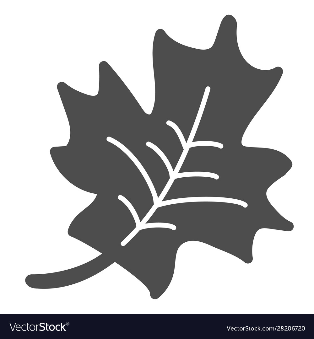 Maple leaf solid icon canadian symbol Royalty Free Vector