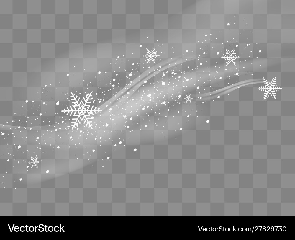 Snow and wind on a transparent background white Vector Image