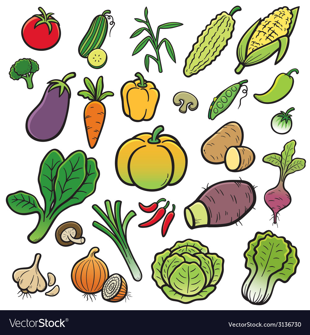 Vegetable Royalty Free Vector Image - VectorStock