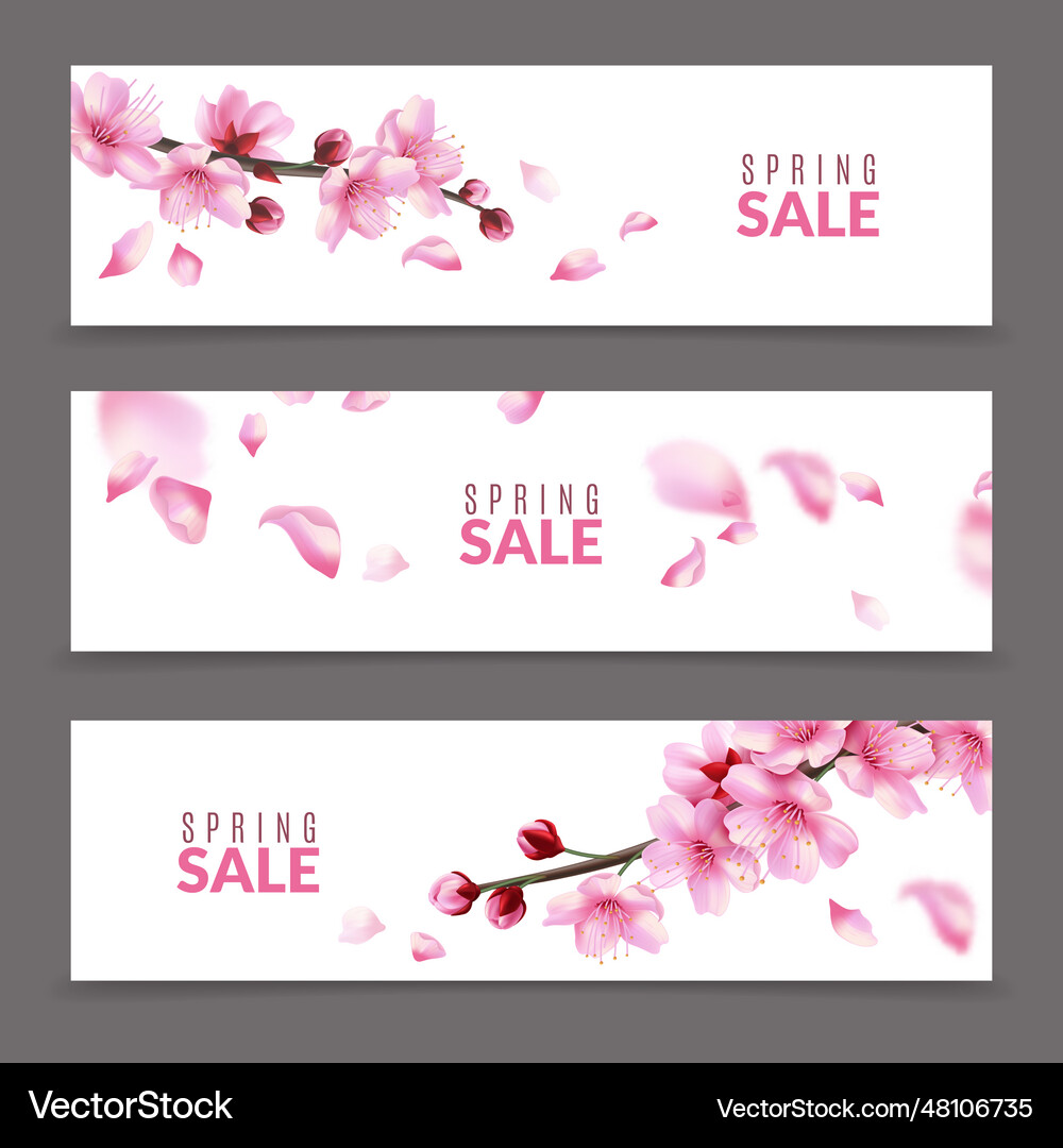 Sakura banners spring japanese cherry flower Vector Image