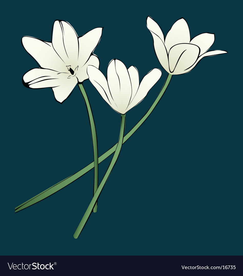 Spring flowers Royalty Free Vector Image - VectorStock