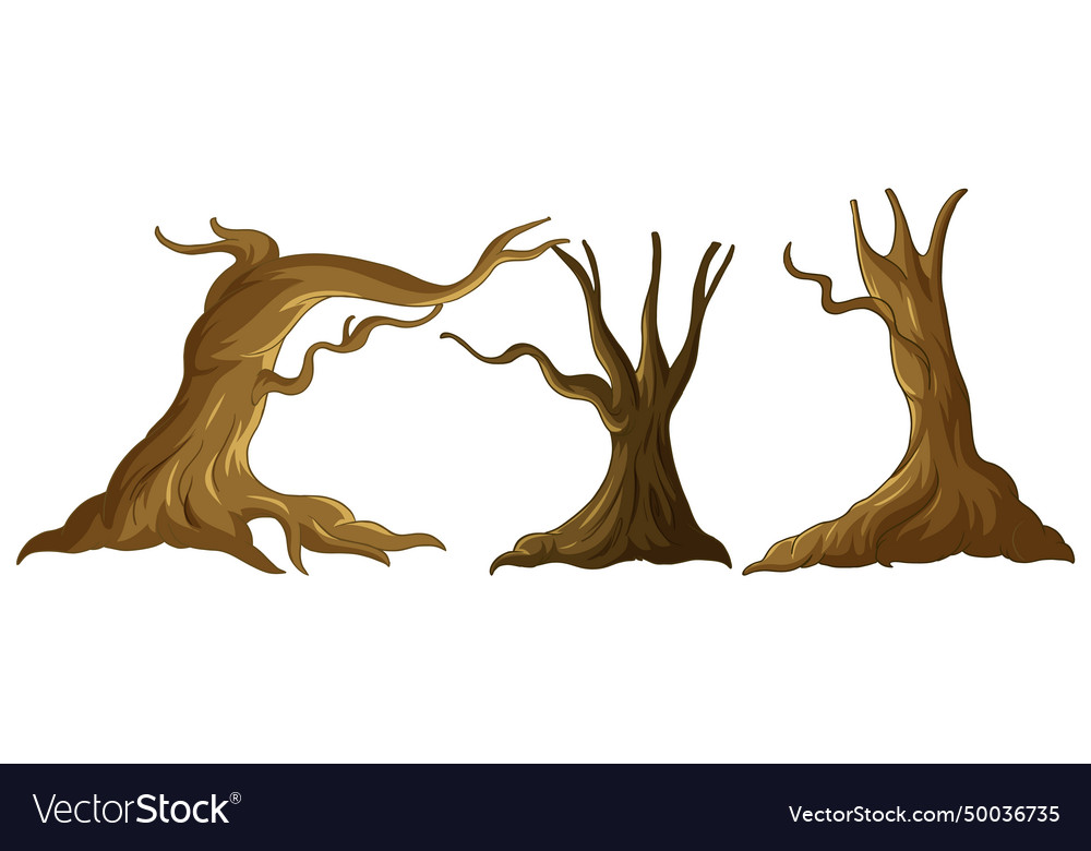 Three stylized tree trunks on white background Vector Image