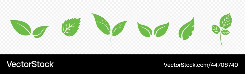 Collection with green leaves in flat style Vector Image