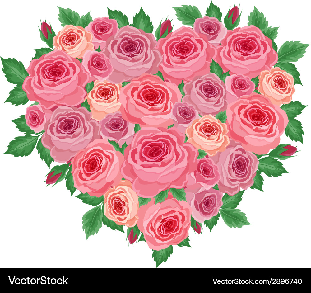 Heart of roses Royalty Free Vector Image - VectorStock