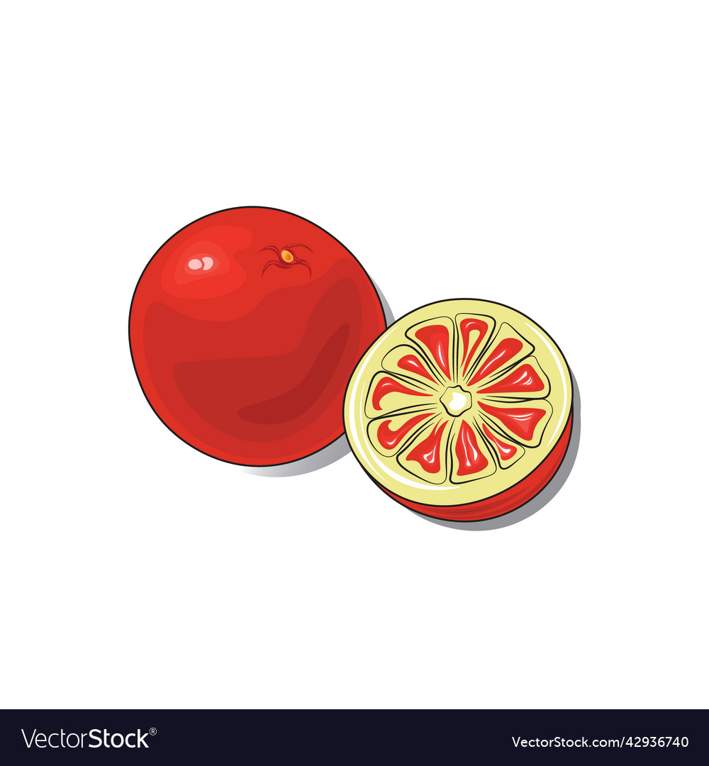 Orange Royalty Free Vector Image - VectorStock