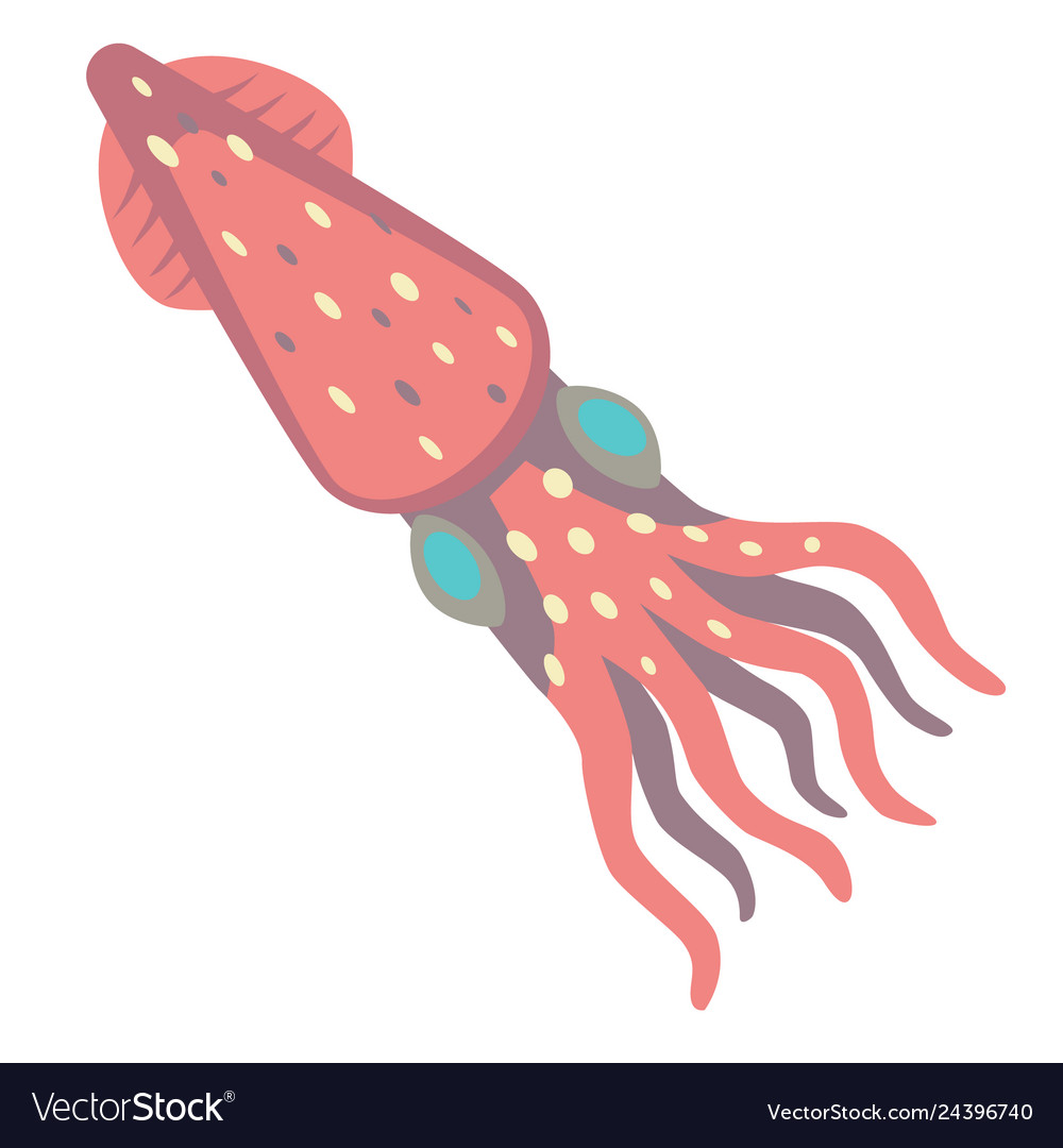 Squid flat Royalty Free Vector Image - VectorStock