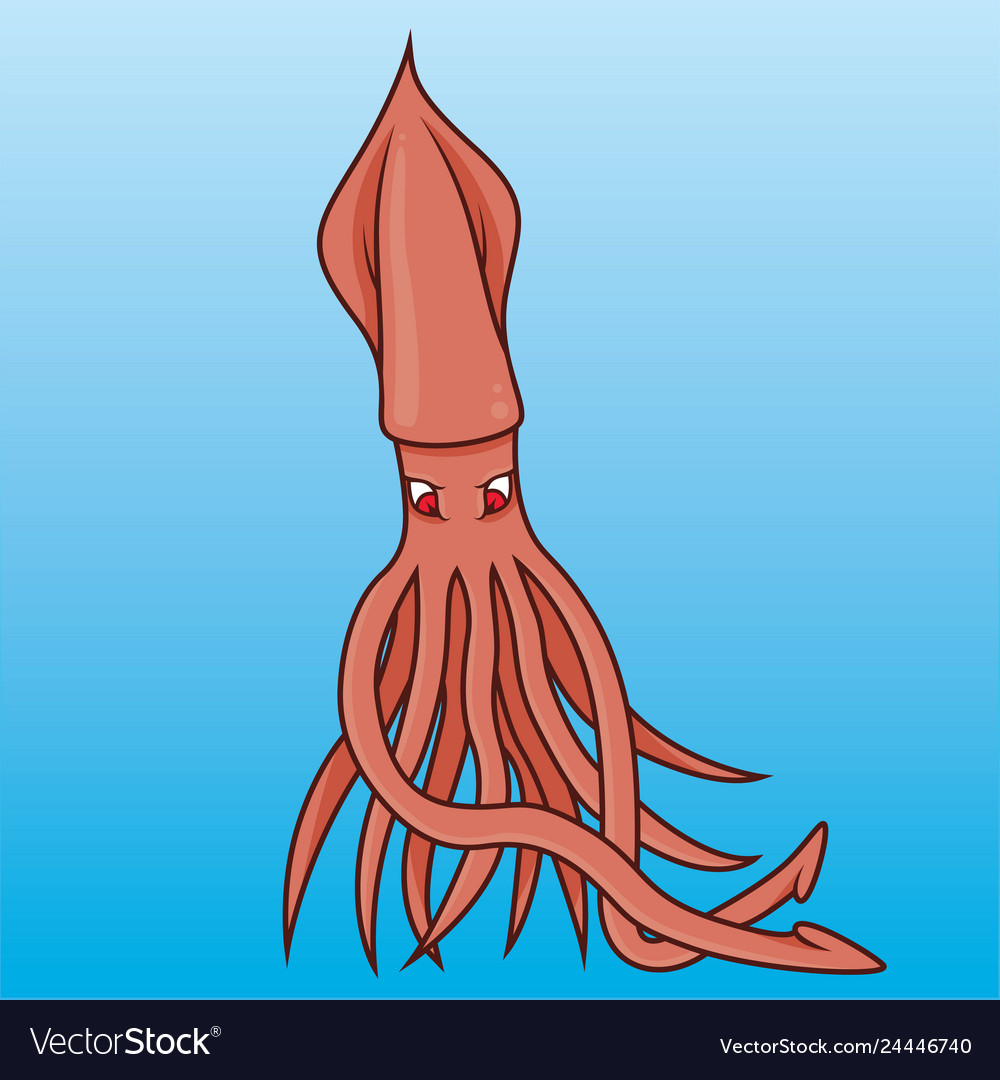 Squid Royalty Free Vector Image - VectorStock