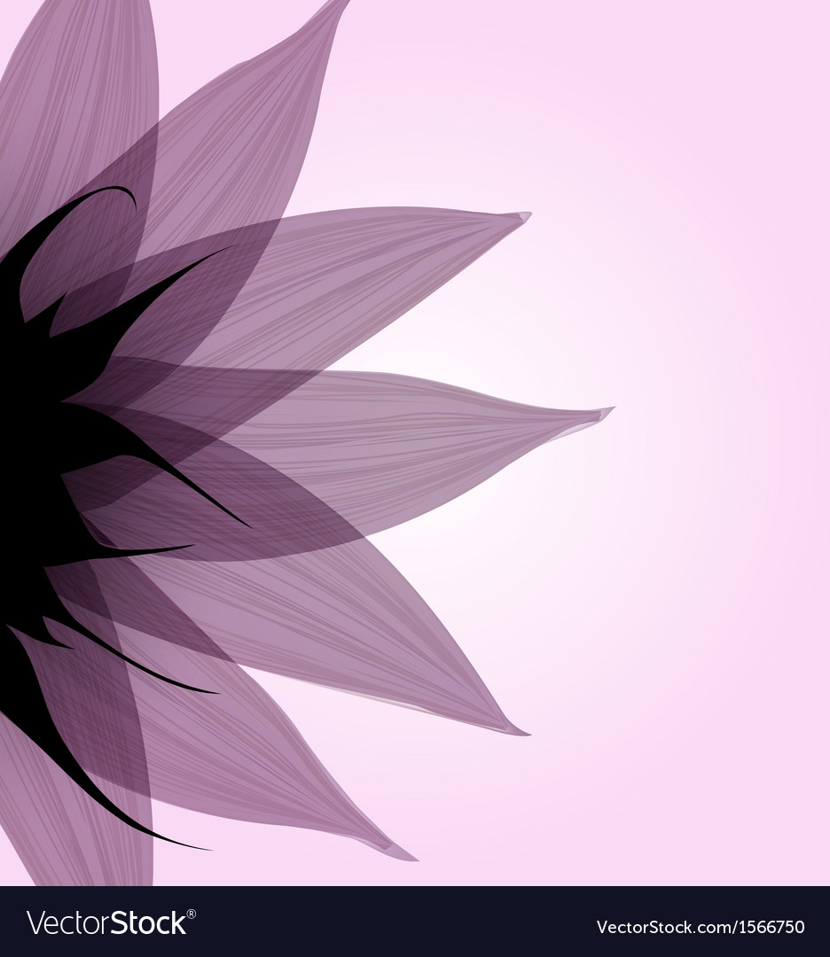 Abstract pink flower Royalty Free Vector Image