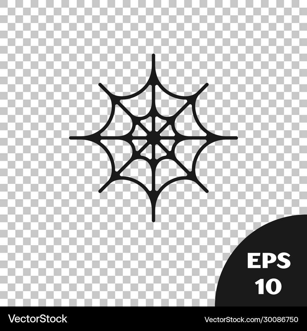 Black spider web icon isolated on transparent Vector Image