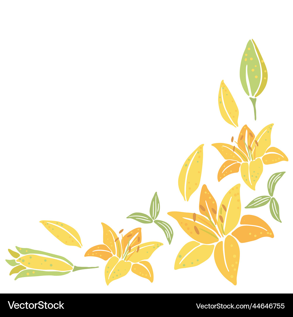Background with lily flowers beautiful decorative Vector Image