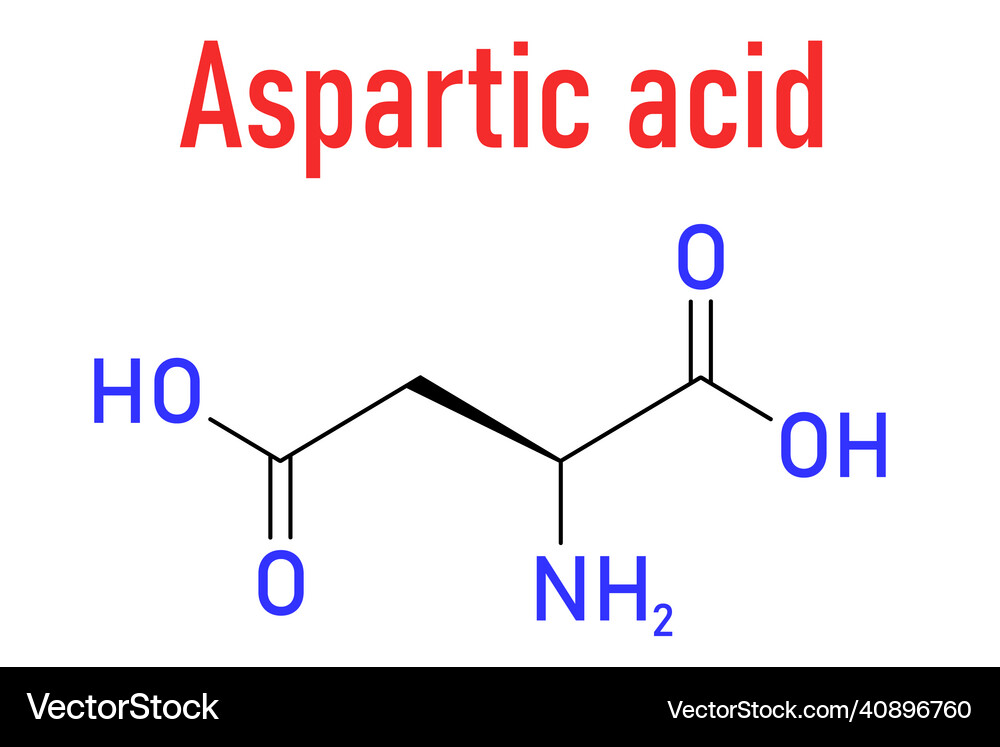Aspartic acid or l-aspartic acid molecule Vector Image