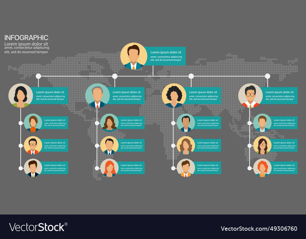 Business hierarchy infographics chart pattern Vector Image