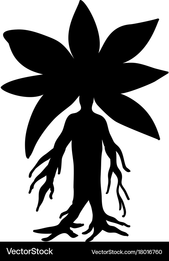 Mandragora plant silhouette ancient mythical Vector Image