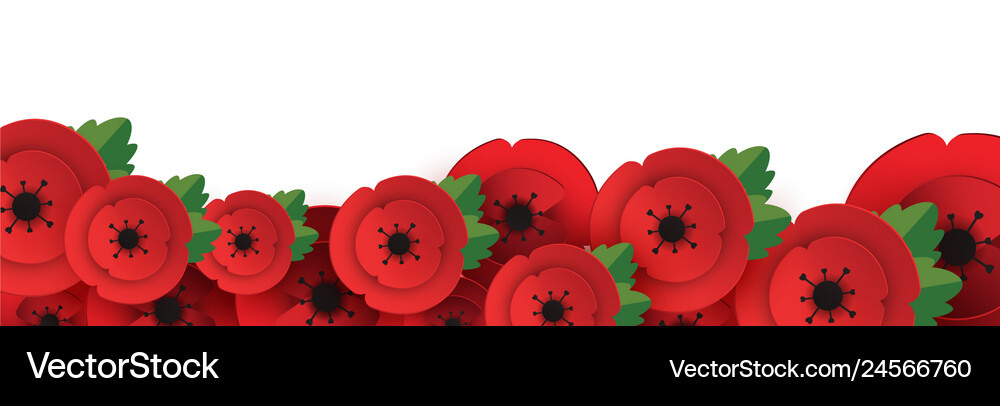 Remembrance anzac day web header poppies flowers Vector Image