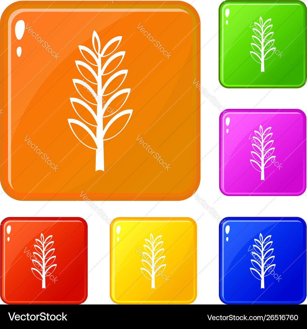 Spica icons set color Royalty Free Vector Image