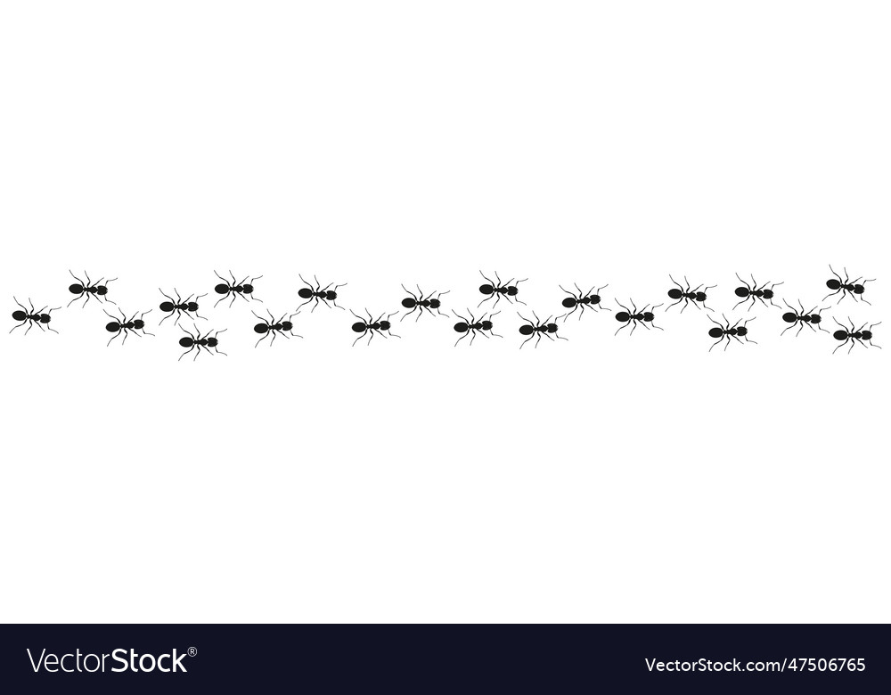 Ant trail ants marching or walking Royalty Free Vector Image