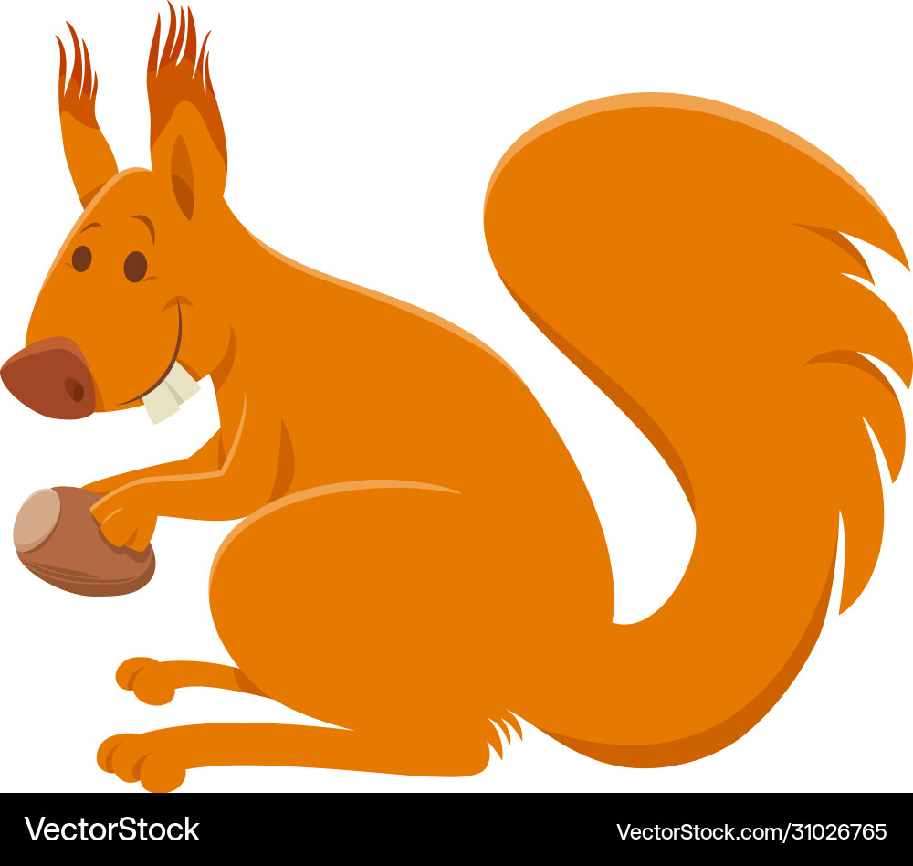 Funny squirrel cartoon animal comic character Vector Image
