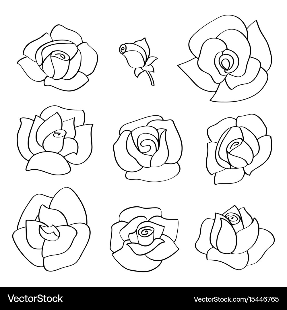 Set with line roses hand-drawn flowers Royalty Free Vector