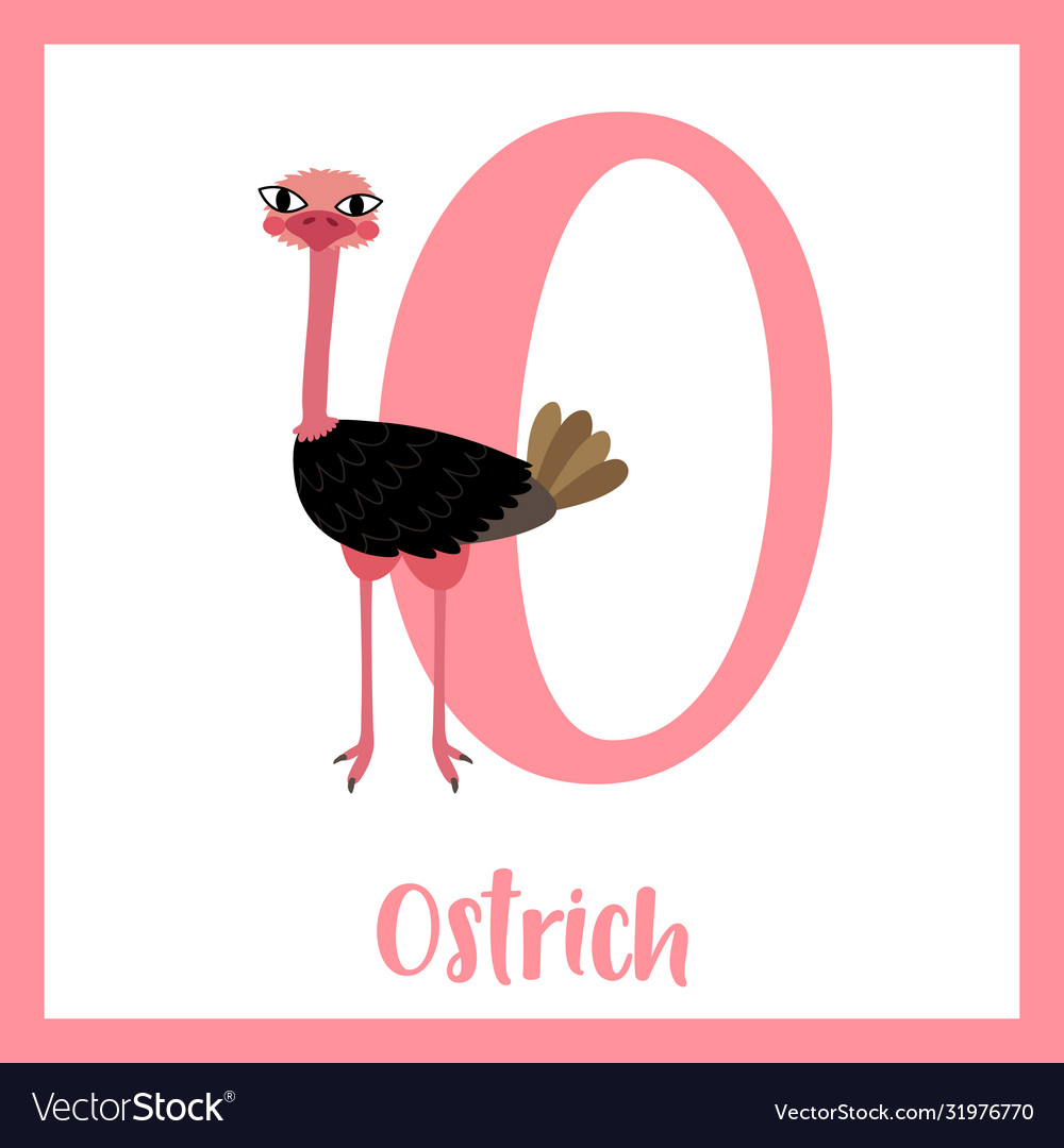 Letter o vocabulary standing ostrich Royalty Free Vector