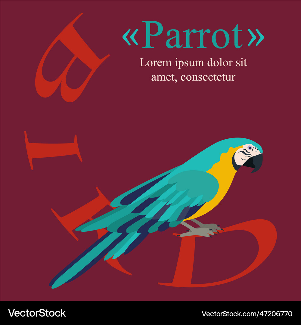 Poster banner with parrot bird and text Royalty Free Vector
