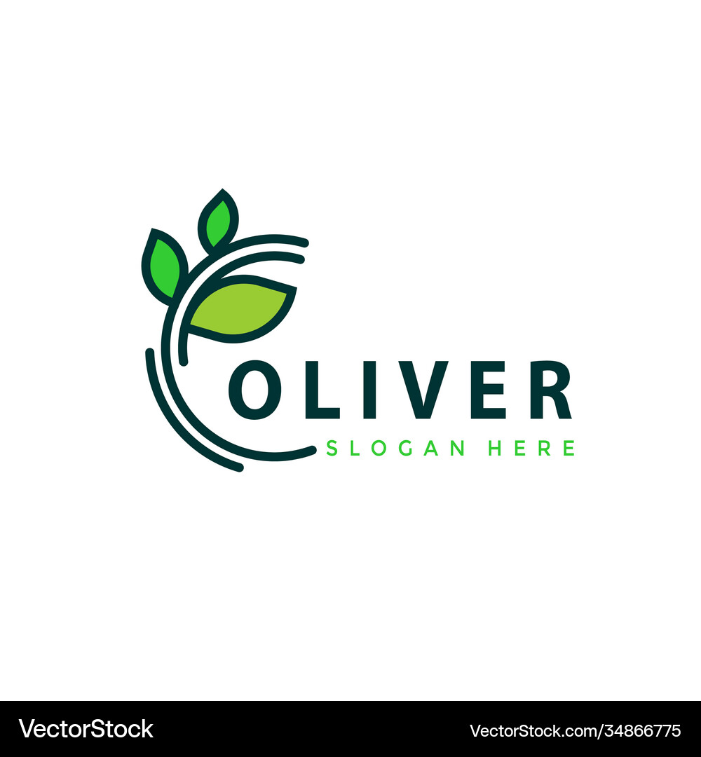 Olive plant farm logo design Royalty Free Vector Image