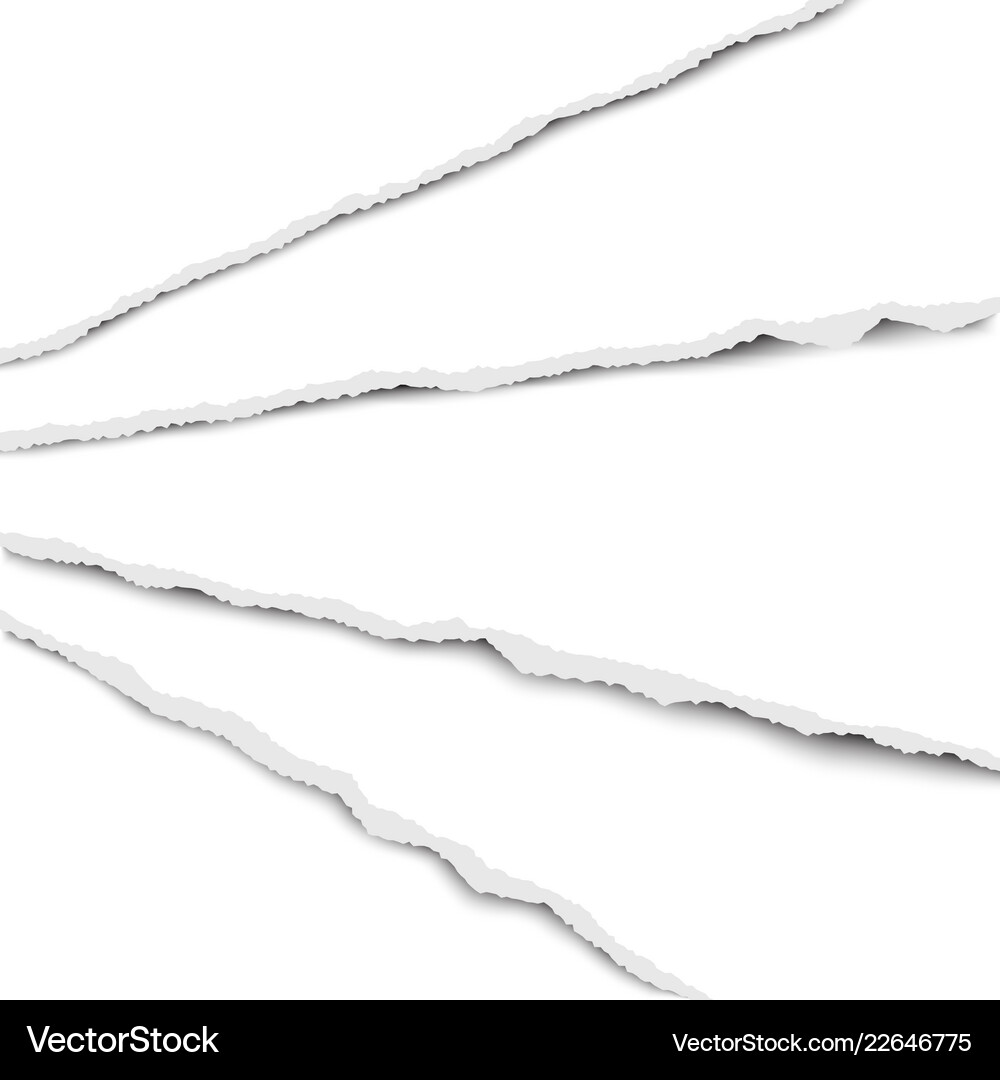 Torn layers of white paper placed one under other Vector Image